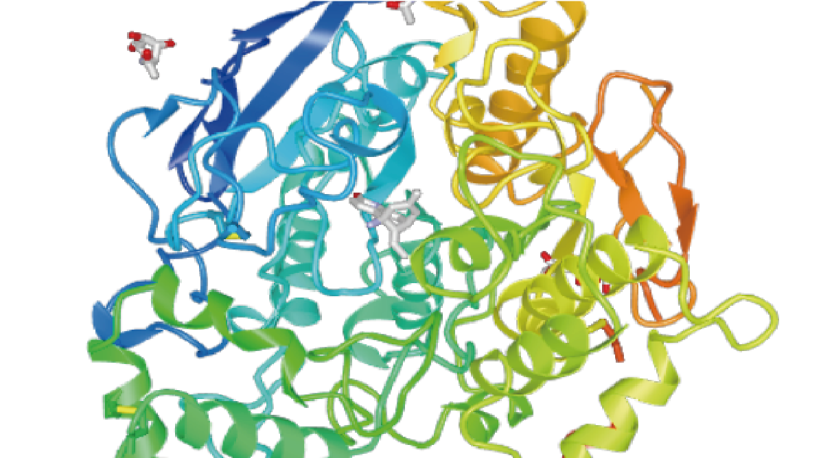 Protein 3D structure
